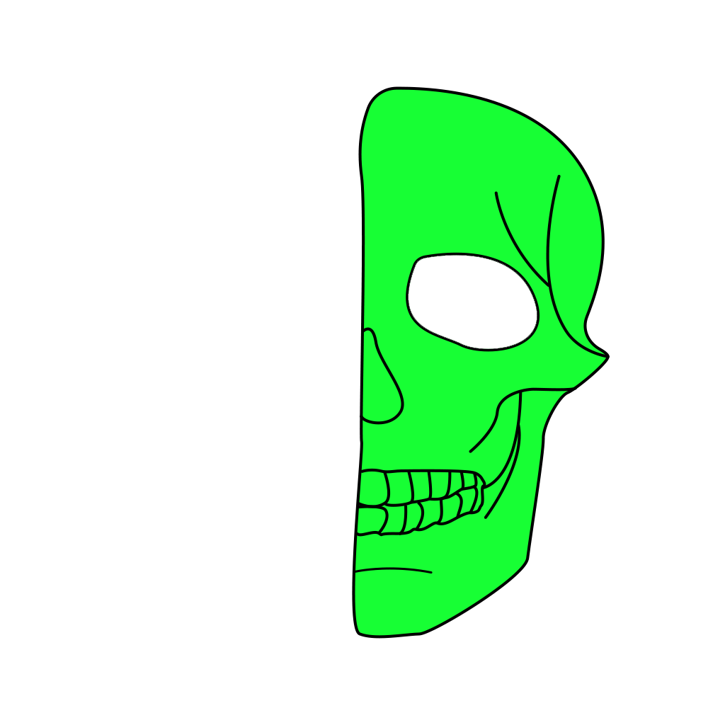 AR Face Filters [SLQ Wiki]